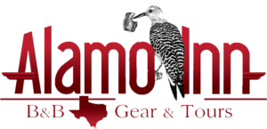 Bed & Breakfast in Alamo, TX | Alamo Inn B&B, Gear and Tours